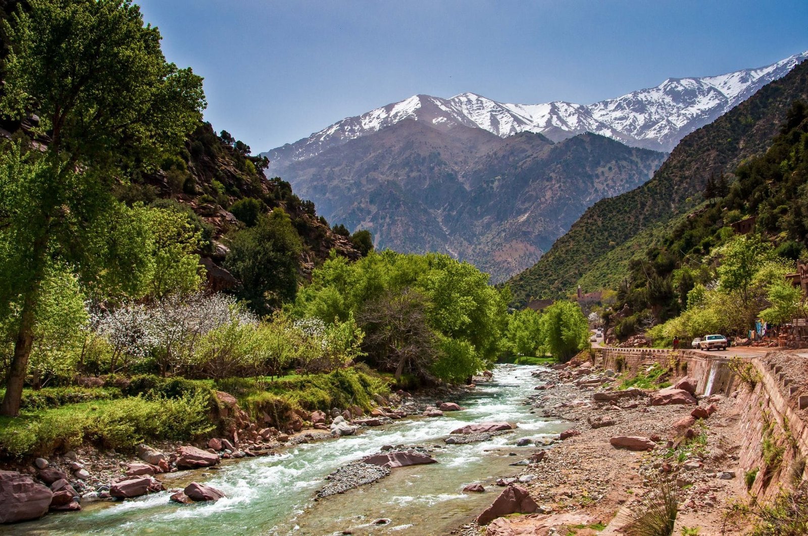 Immersive Marrakech Atlas Mountains & Ourika Valley